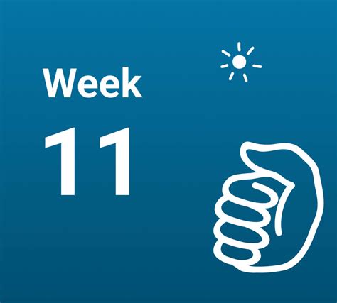 Magnetic Compass Quiz University Quiz Wayground