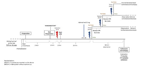 Trial Flowchart The Details Of The Trial Protocol Are Presented On A Download Scientific