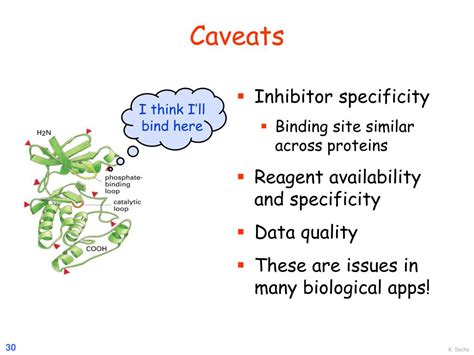 Ppt Bayesian Network Models Of Biological Signaling Pathways Powerpoint Presentation Id 3085086