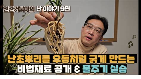 무료나눔 이벤트 마감 난초뿌리를 우동처럼 굵고 건강하게 만들 수 있는 비법재료 공개 및 물주기 실습입니다 Youtube