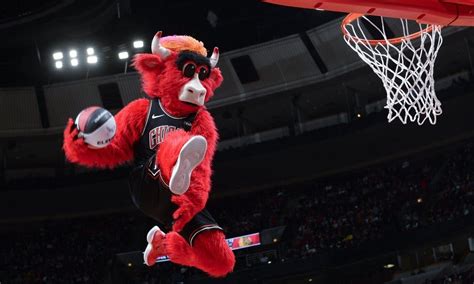 The 26 Best Nba Mascots Right Now Ranked