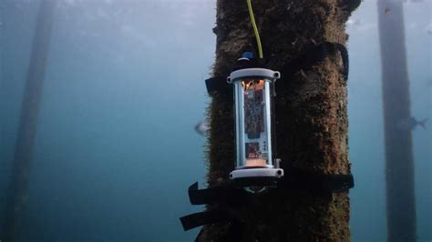 A Deep Dive Into Single Pair Ethernet Electric UI