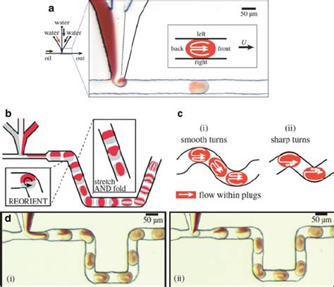 Micromixing Within Microfluidic Devices Pdf Download Available