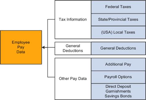 Understanding Payroll Data