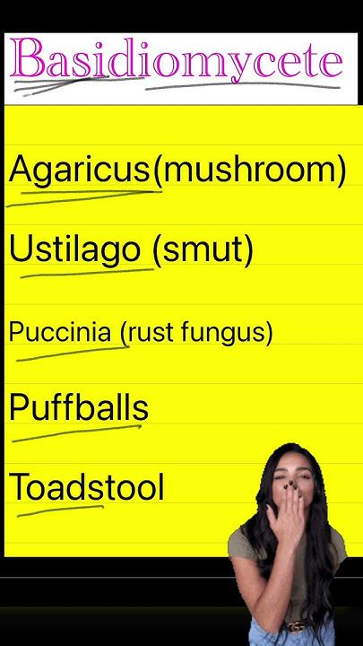 Fungi Example Basidiomycetes Fungi Examples Tricks Basidiomycetes