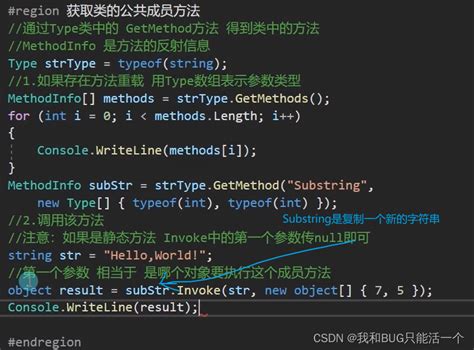 C 反射 Csdn博客