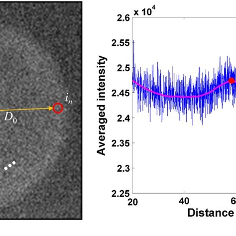 Rough Radius Estimation A Schematic Graph Interprets The Histogram Download Scientific