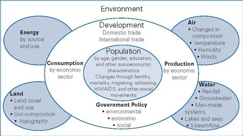 Pde Structure Overview Download Scientific Diagram