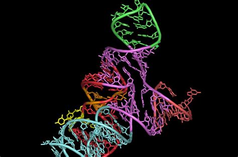 Big Bang بیگ بنگ حیات چگونه آغاز شد؟ نظریه جدیدِ منشاء حیات حیات چگونه آغاز شد؟ آیا در جهان