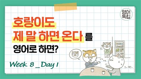 호랑이도 제 말 하면 온다를 영어로 하면 [영어독립 365 W8d1] Youtube