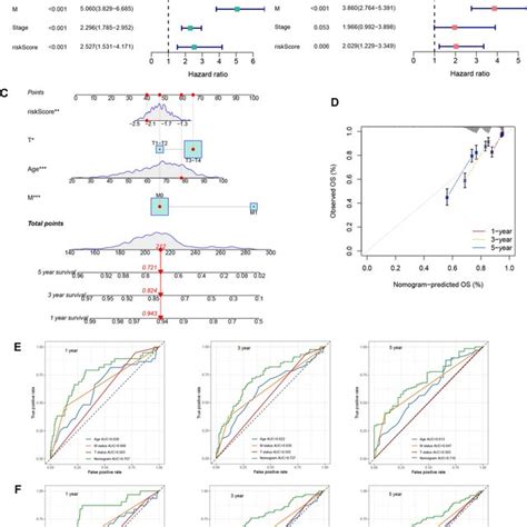 Nomogram Construction Ab Univariate And Multivariate Cox Regression