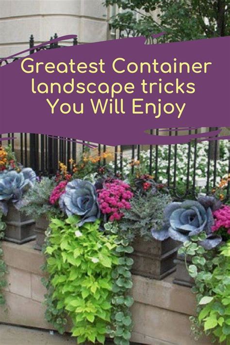 20 Container Gardening Hacks Ideas Worth To Check Sharonsable