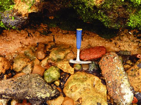 Phosphatic Nodule Horizon The Basal Phosphatic Nodule Horizon In The