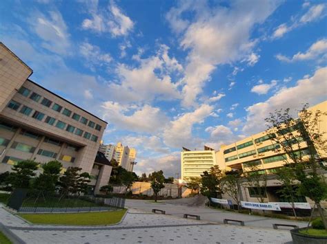 Mmdetection3 X 入门 Openmmlab 实战营打卡 5 知乎