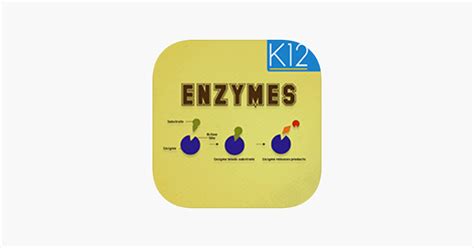 ‎enzymes And Its Properties En App Store