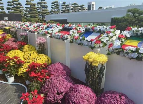 文化分享 韩国有哪些传统节日 知乎