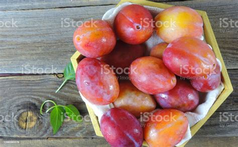 나무 배경에 나무 상자에 자두의 무리 선택적 초점 소박한 스타일 컨트리 빌리지 농업 가을에 대한 스톡 사진 및 기타 이미지 가을 건강한 생활방식 건강한 식생활