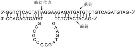 Lead Ion Visual Detection Method Eureka Patsnap