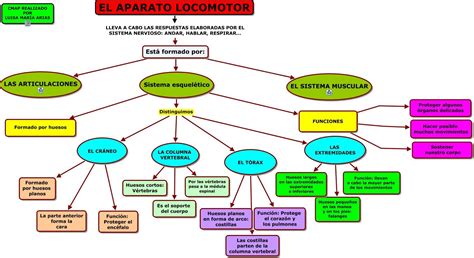 Sistema Locomotor Mapa Mental