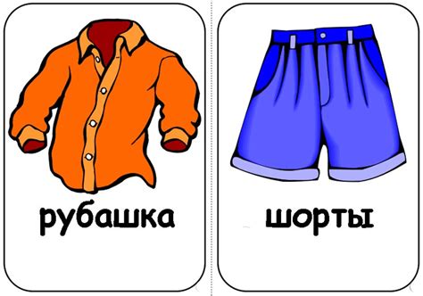 Одежда картинки для детей