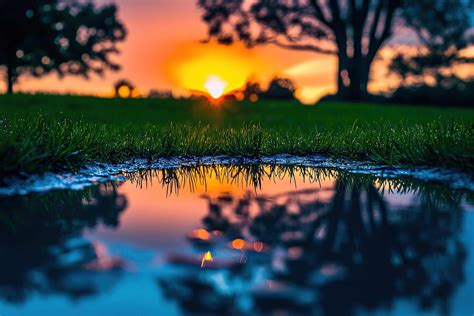 Sunset Colors Reflect On Water With Tall Grass In Foreground Near