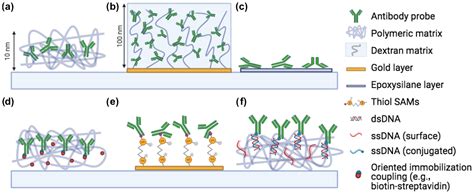 The Role Of Surface Chemistry In The Efficacy Of Protein And Dna