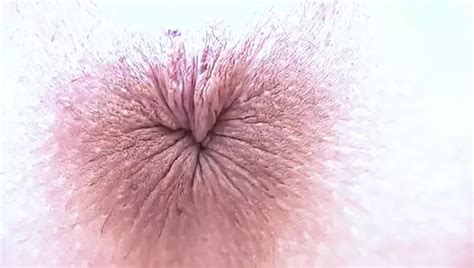 Deutsch Porno Videos Von 1633 Xhamster Deutsch Porno Videos Von 1633 Xhamster