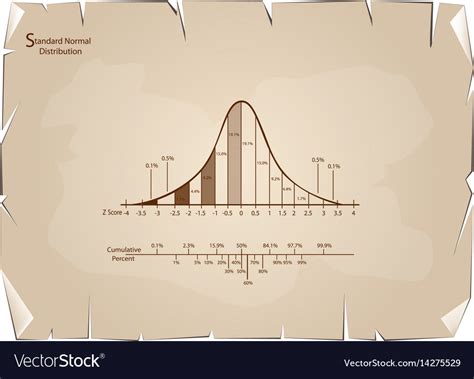 Normal Distribution Diagram Or Bell Curve Chart Vector Image