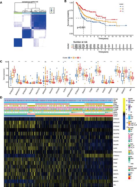 integrating bulk and single cell rna sequencing bladder ca jir