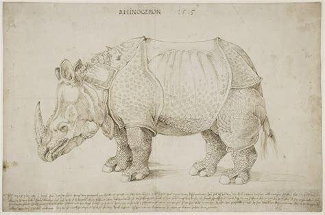 Durer Drawing
