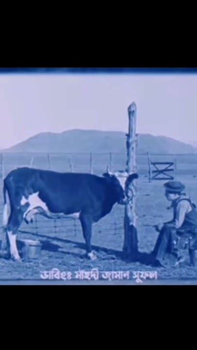 গরু কি এই ভাবে দুধ দেয়😀😀 Youtube