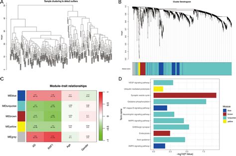 Wgcna Of The Degs Clustering Plot Of All The Samples A Cluster Download Scientific Diagram