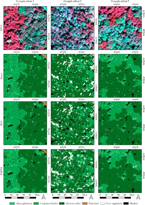 figure 3 from an evaluation of pixel and object based tree species