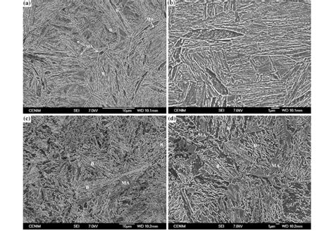 Scanning Electron Micrographs Of The Microstructure Revealed A Room Download Scientific Diagram