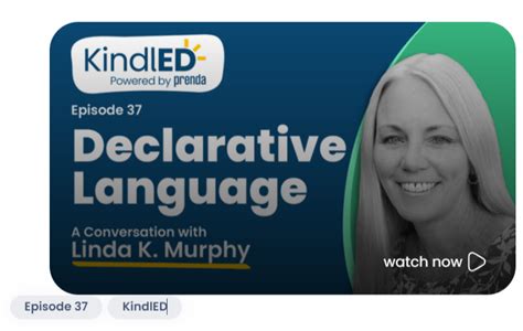 Declarative Language Handbook