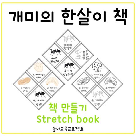 개미의 성장과정 개미의 한살이 책 만들기 Stretch Book 활동지 워크지 네이버 블로그