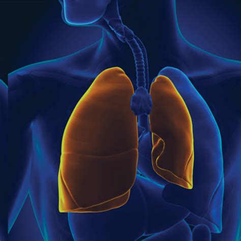 Siim Acr Pneumothorax Segmentation Data Kaggle