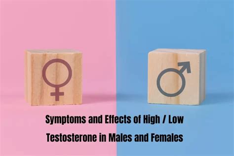 Testosterone Truth The Impact Of Hormones On Men Women