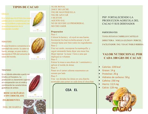 Triptico Cacao Tipos De Cacao Roscas BaÑadas Con Chocolate