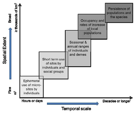 Peary Caribou Habitat Selection Occurs At Multiple Spatial And Temporal