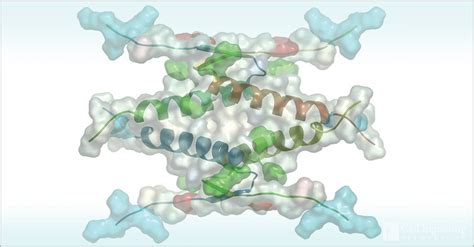 Iclr2022 Spherenet与g Spherenet 3d分子图表示与分子几何生成的自回归流模型 知乎 Iclr2022 Spherenet与g Spherenet 3d分子图表示与分子几何生成的自回归流模型 知乎