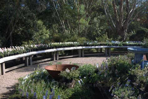 Native Plant Porn At Kuranga Nursery Mallee Design
