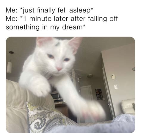 Fell Asleep On Me Meme