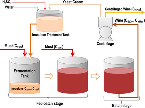 Fermentation Process Diagram