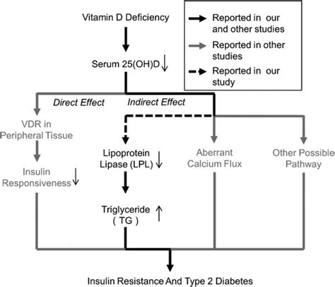 Putative Scheme Of Effect Of Vitamin D On Insulin Resistance And Type 2 Download Scientific