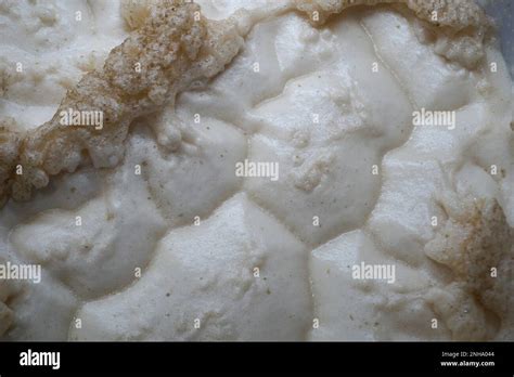 Beer Fermentation Foam At Jonathan Dittmer Blog