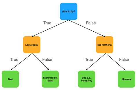 Decision Tree Examples