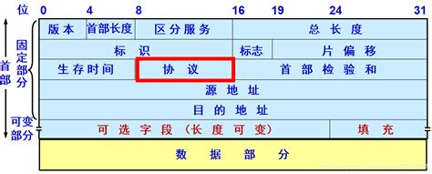 Ip 数据报格式详解 Csdn博客 Ip 数据报格式详解 Csdn博客