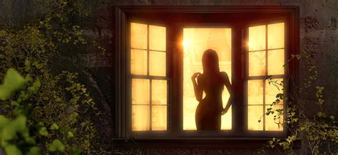 Download Woman Window Light Royalty Free Stock Illustration Image Pixabay