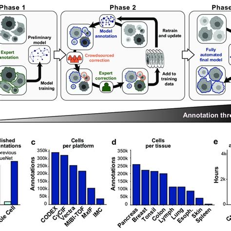 Pdf Whole Cell Segmentation Of Tissue Images With Human Level Performance Using Large Scale